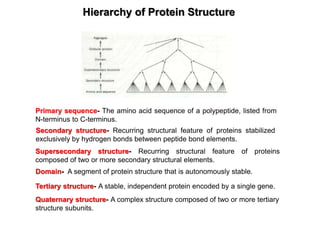 Protein structure.ppt | Chemistry | Science