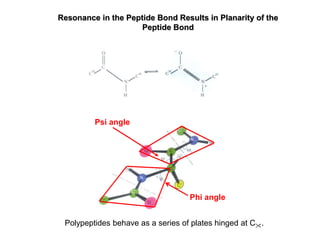 Protein structure.ppt