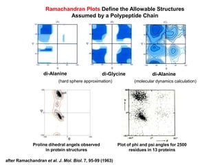 Protein structure.ppt | Chemistry | Science