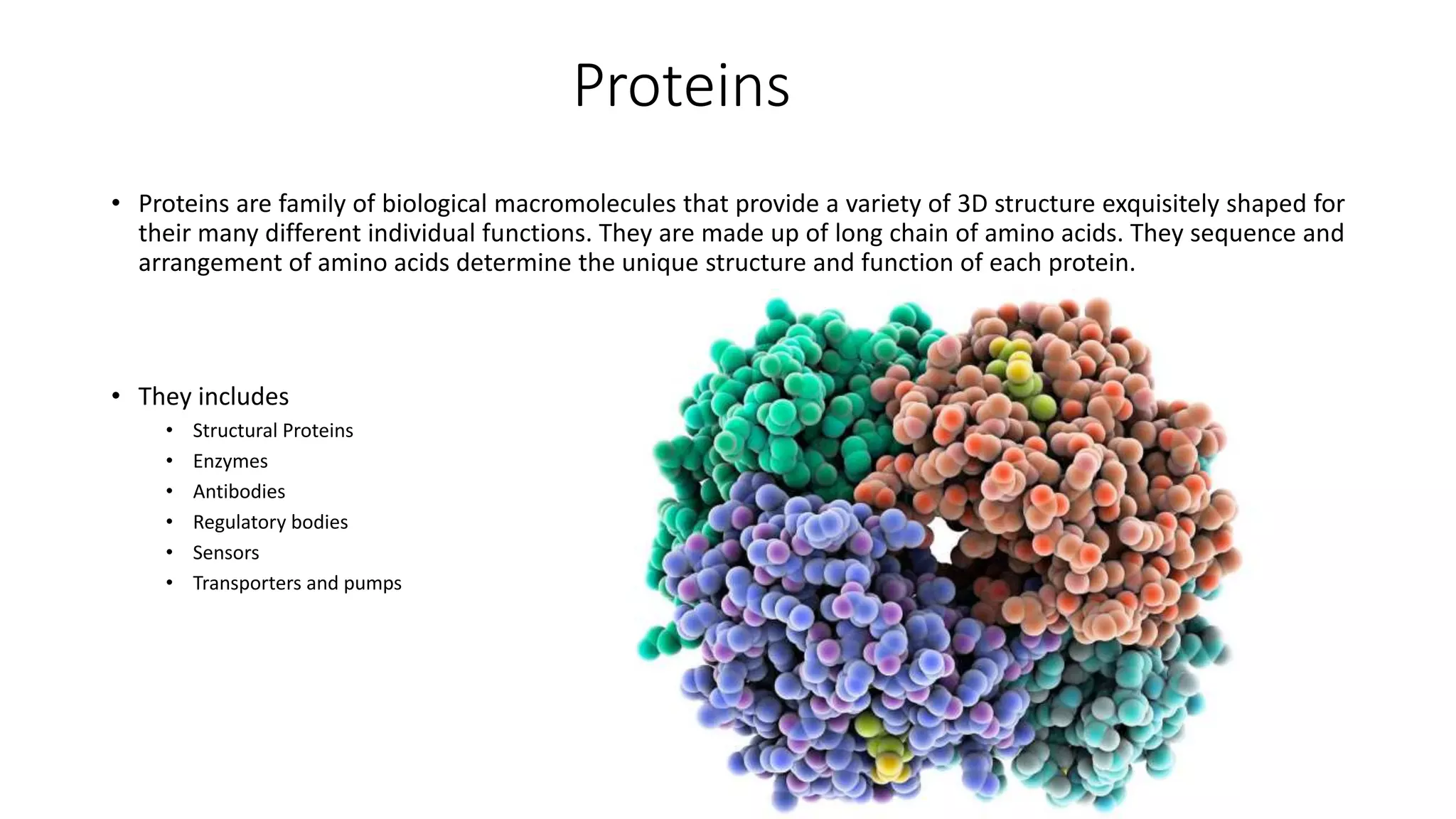 Protein Structure and levels of protein structure | PPTX