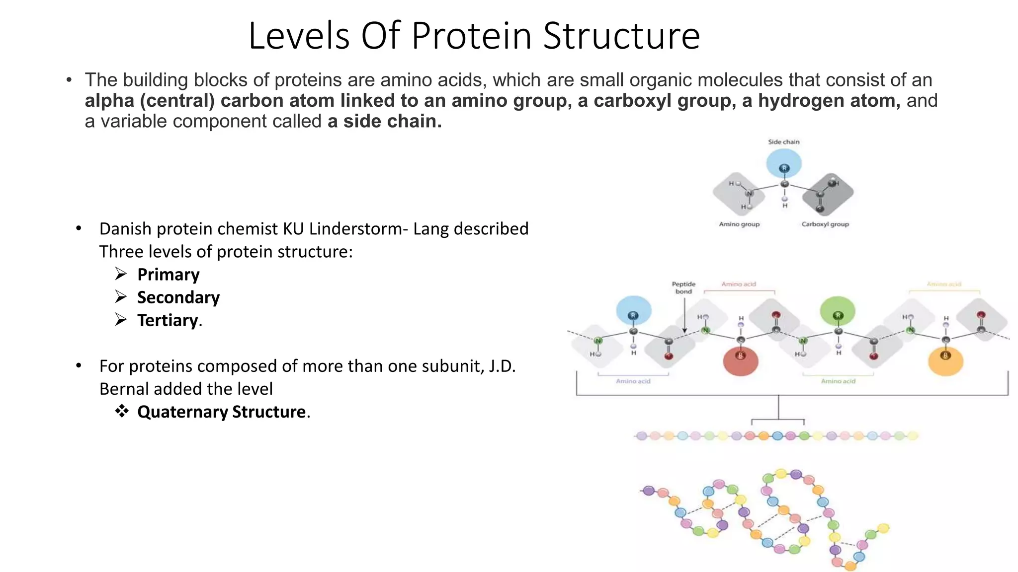 Protein Structure and levels of protein structure | PPTX