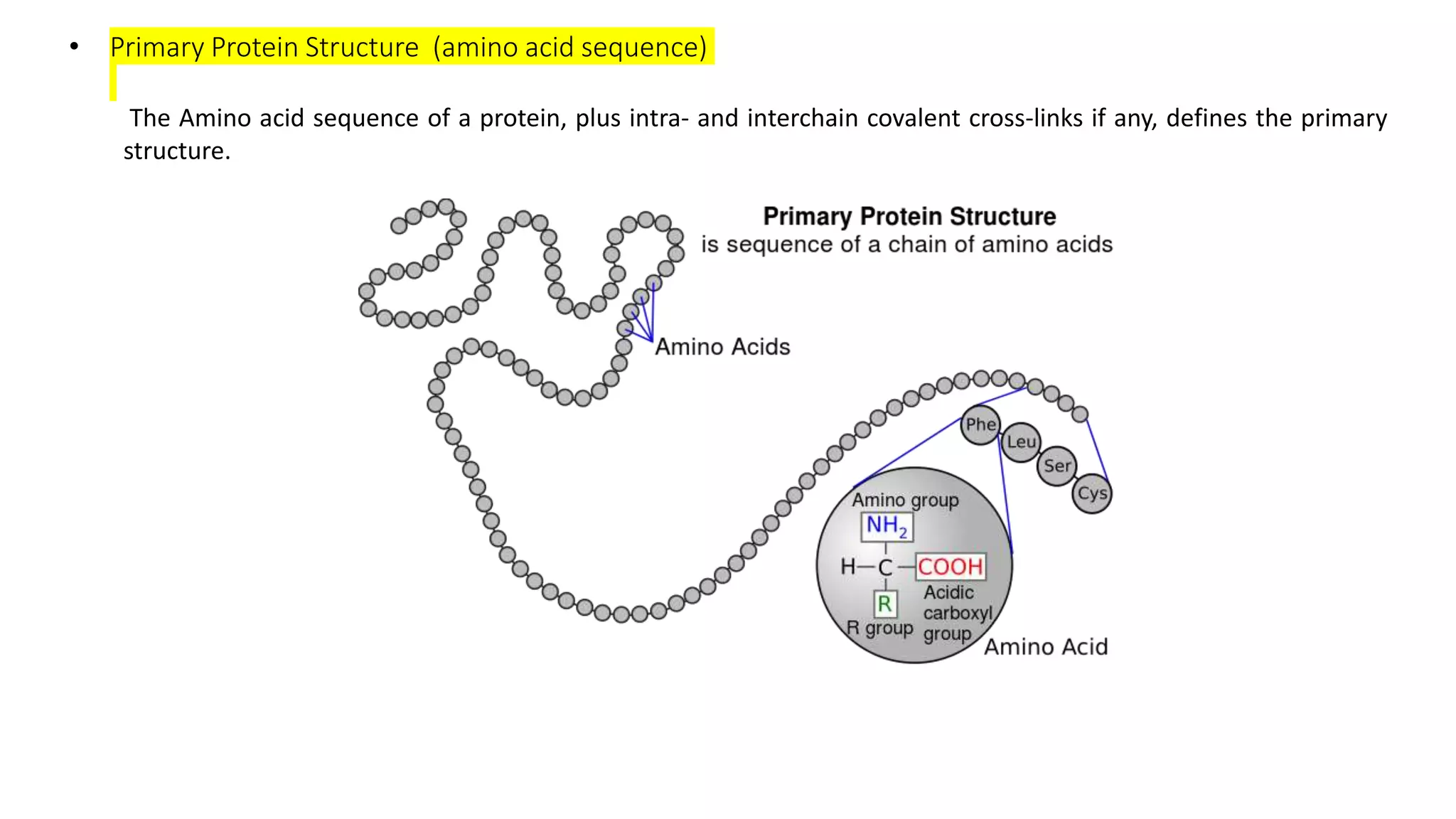 Protein Structure and levels of protein structure | PPTX