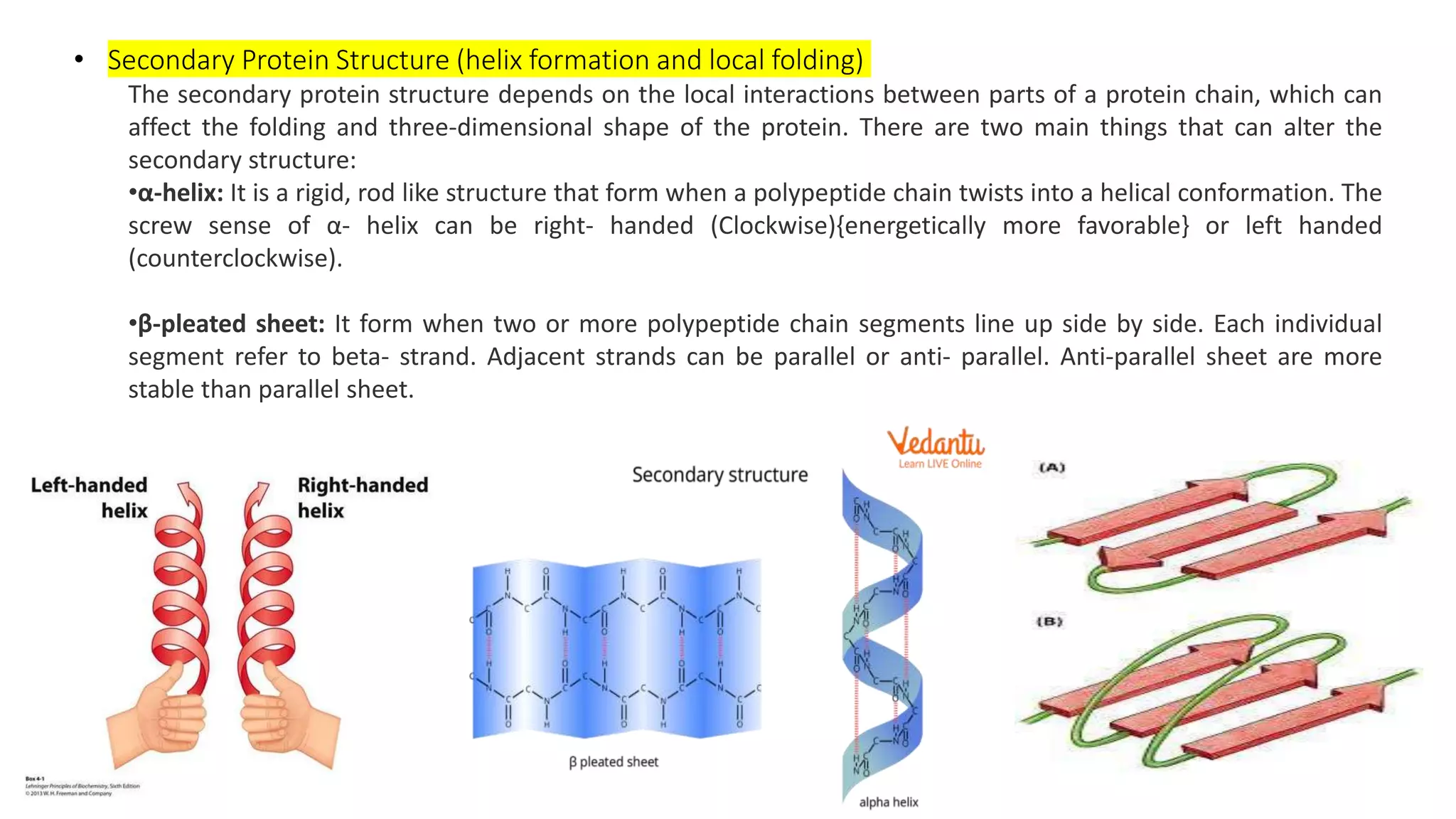 Protein Structure and levels of protein structure | PPTX