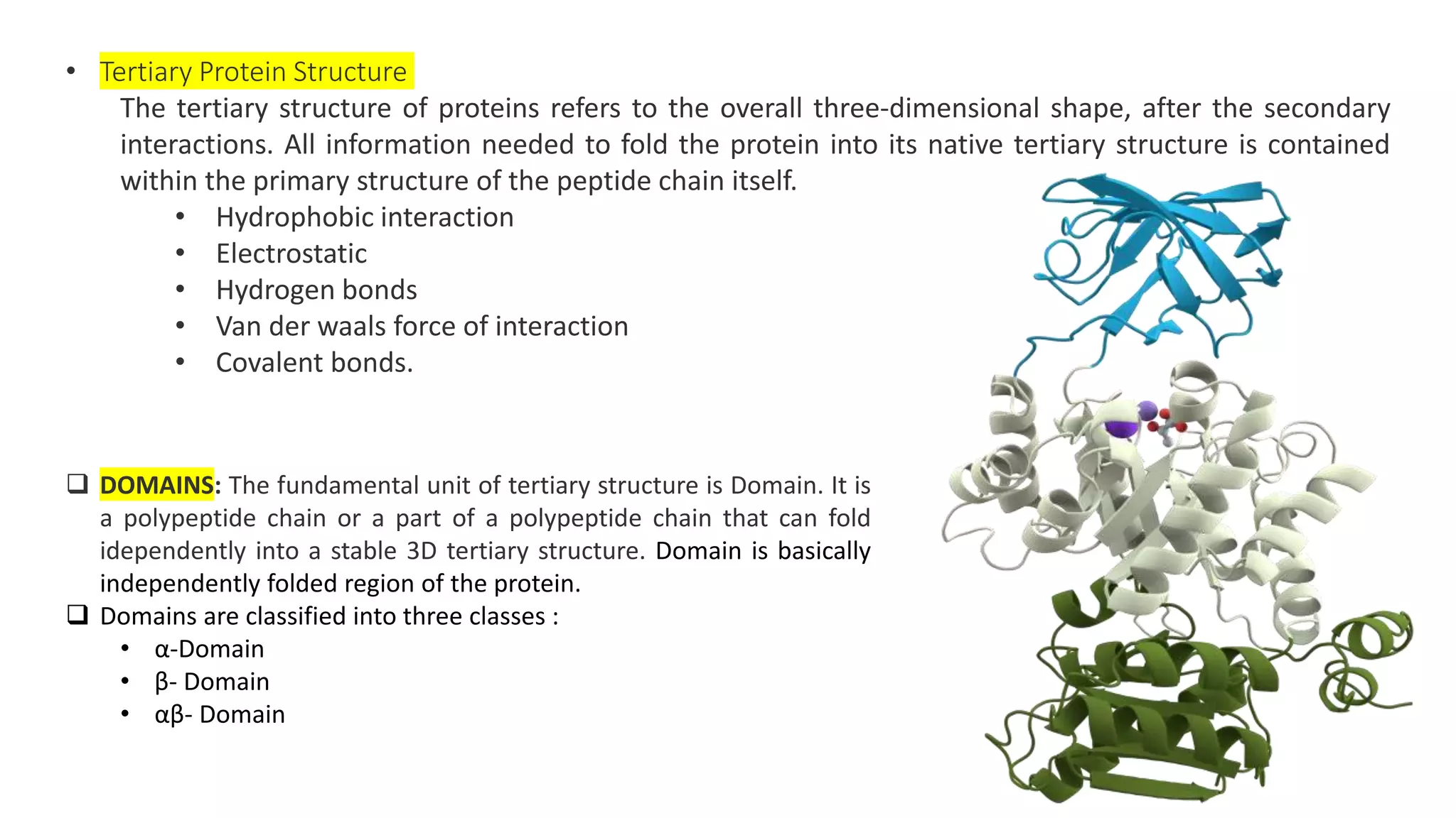 Protein Structure and levels of protein structure | PPTX
