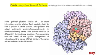 Protein Structure and levels of protein structure | PPTX