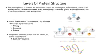 Protein Structure and levels of protein structure | PPTX