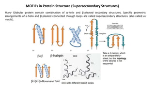 Protein Structure and levels of protein structure | PPTX