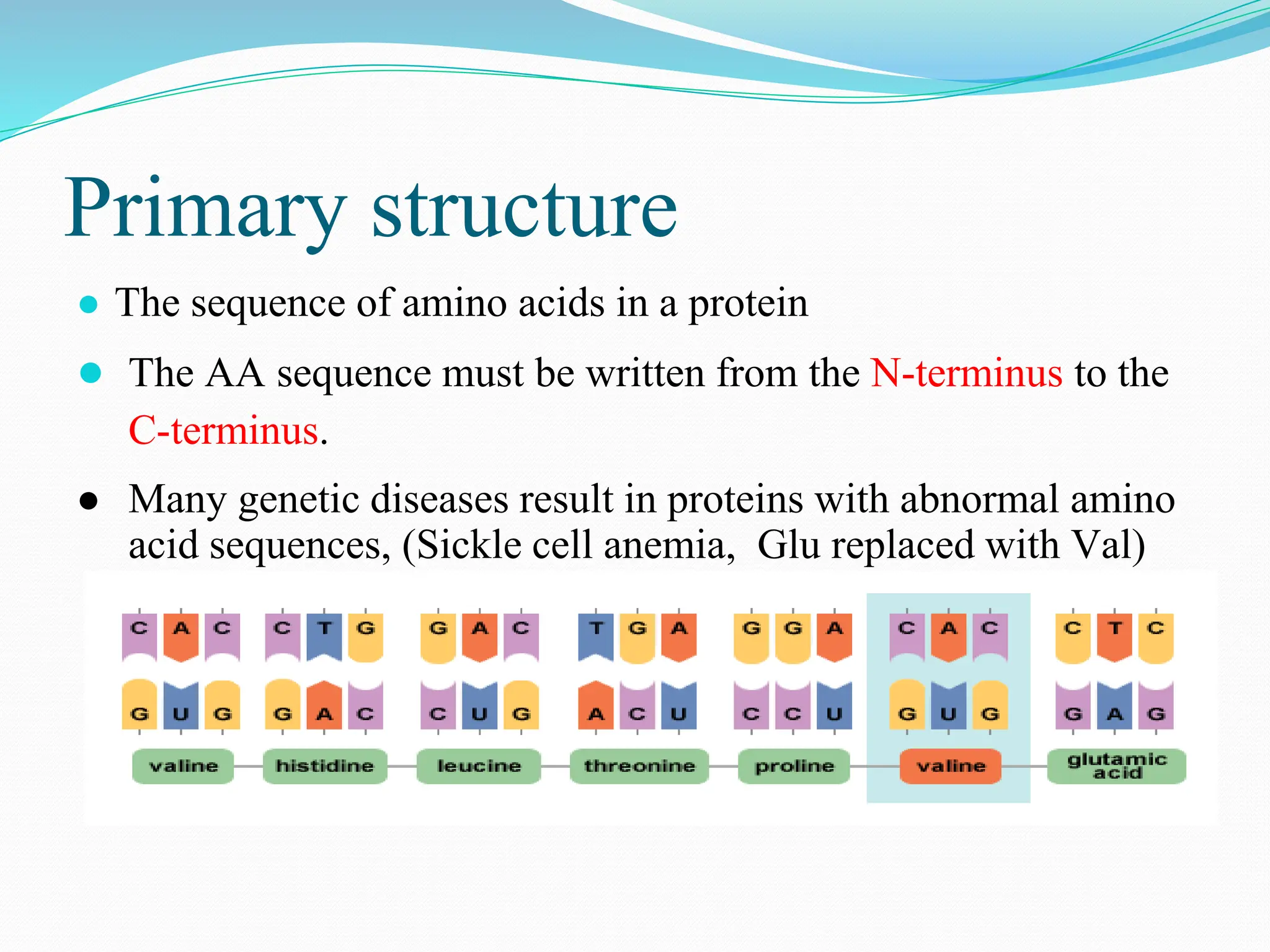 Protein Structure and classification.pptx