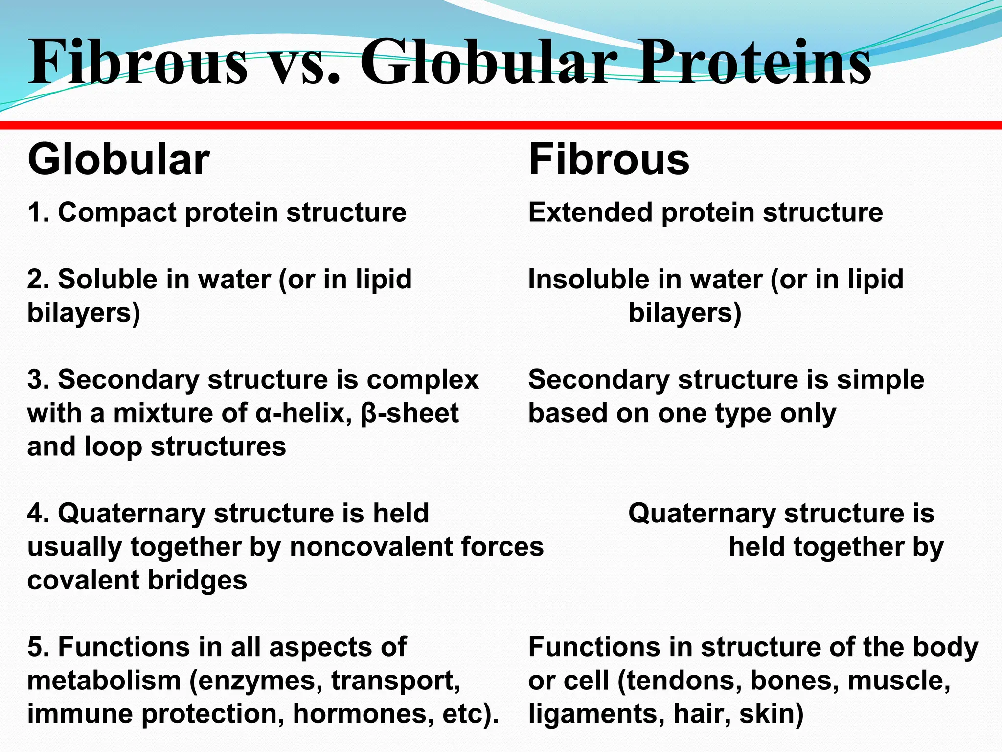 Protein Structure and classification.pptx