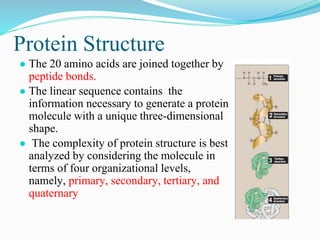 Protein Structure and classification.pptx