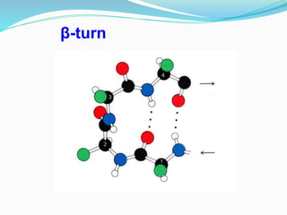 Protein Structure and classification.pptx