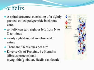 Protein Structure and classification.pptx