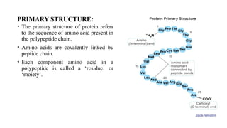 PROTEIN STRUCTURE(R. S. Aarthi-123011356004 | PPTX