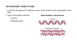 PROTEIN STRUCTURE(R. S. Aarthi-123011356004 | PPTX