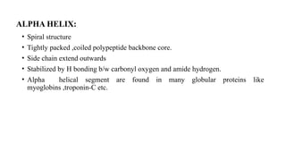 PROTEIN STRUCTURE(R. S. Aarthi-123011356004 | PPTX