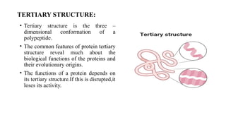 PROTEIN STRUCTURE(R. S. Aarthi-123011356004 | PPT