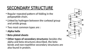 protein structure.pptxJfzkgkxhofuzufsyid | PPTX