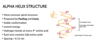 protein structure.pptxJfzkgkxhofuzufsyid | PPT