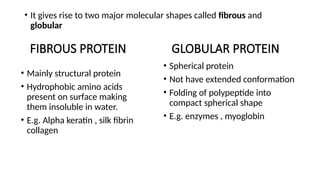 protein structure.pptxJfzkgkxhofuzufsyid | PPTX