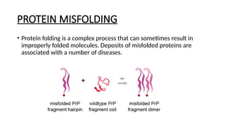 protein structure.pptxJfzkgkxhofuzufsyid | PPT