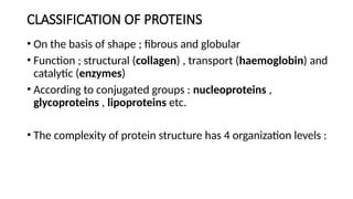 protein structure.pptxJfzkgkxhofuzufsyid | PPTX