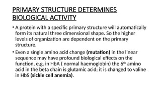 protein structure.pptxJfzkgkxhofuzufsyid | PPTX