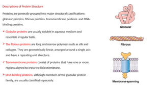 protein structure and protein function.pptx