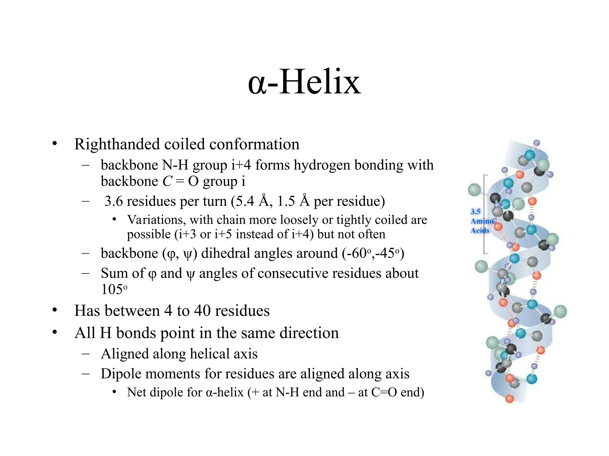 Protein Structure, Ramachandran Plot, alpha, beta helix, | PPT