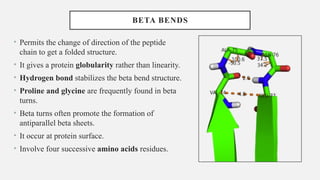 PROTEIN STRUCTURE: presentation on structure of proteins | PPTX
