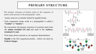 PROTEIN STRUCTURE: presentation on structure of proteins | PPTX