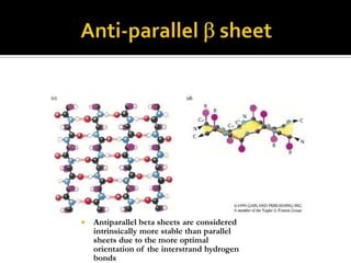 Protein structure | PPTX