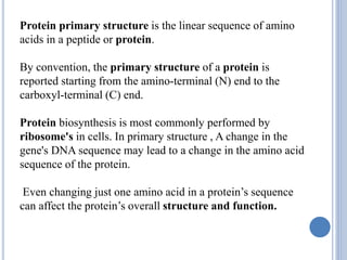 Protein and Its structure | PPTX