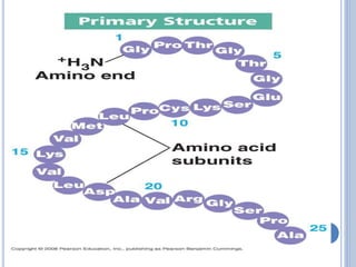Protein and Its structure | PPTX