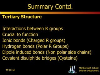 Proteinstructure | PPT
