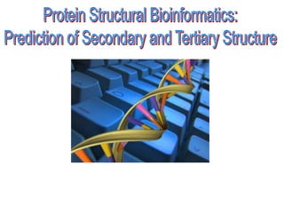Protein structure 2 | PPTX | Chemistry | Science