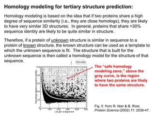 Protein structure 2 | PPTX | Chemistry | Science