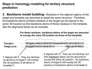 Protein structure 2 | PPTX | Chemistry | Science