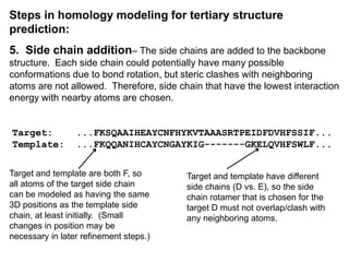 Protein structure 2 | PPTX | Chemistry | Science