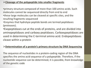 Protein structure | PPTX