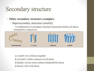Protein structure | PPTX