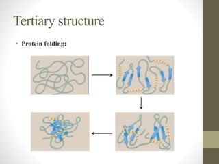 Protein structure | PPTX