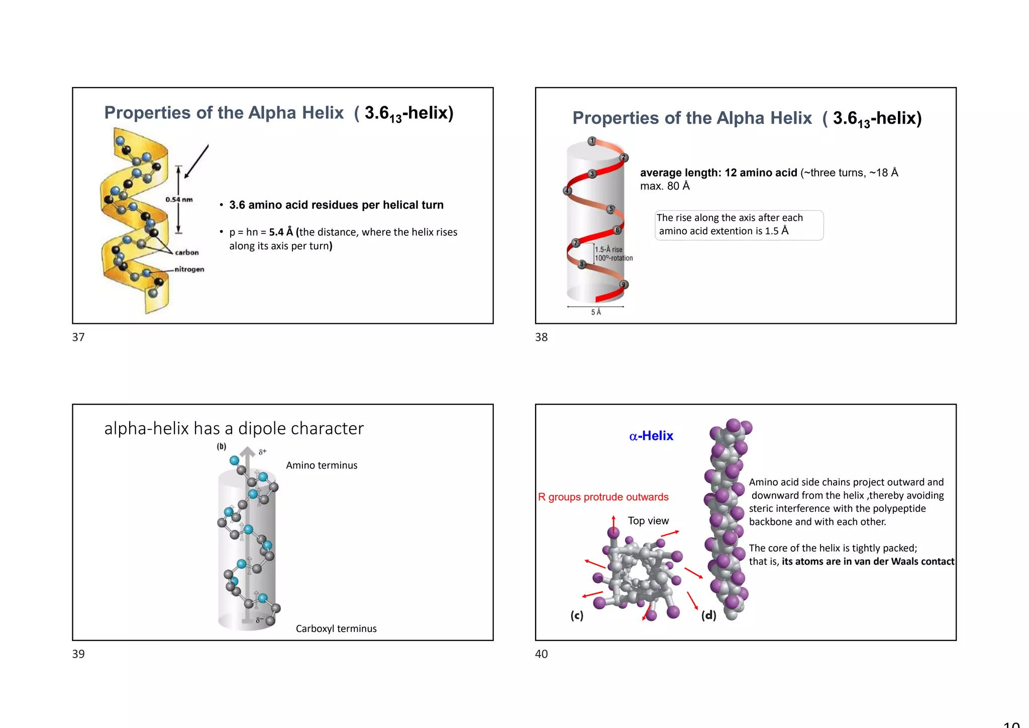 Protein_structure_2022.pdf