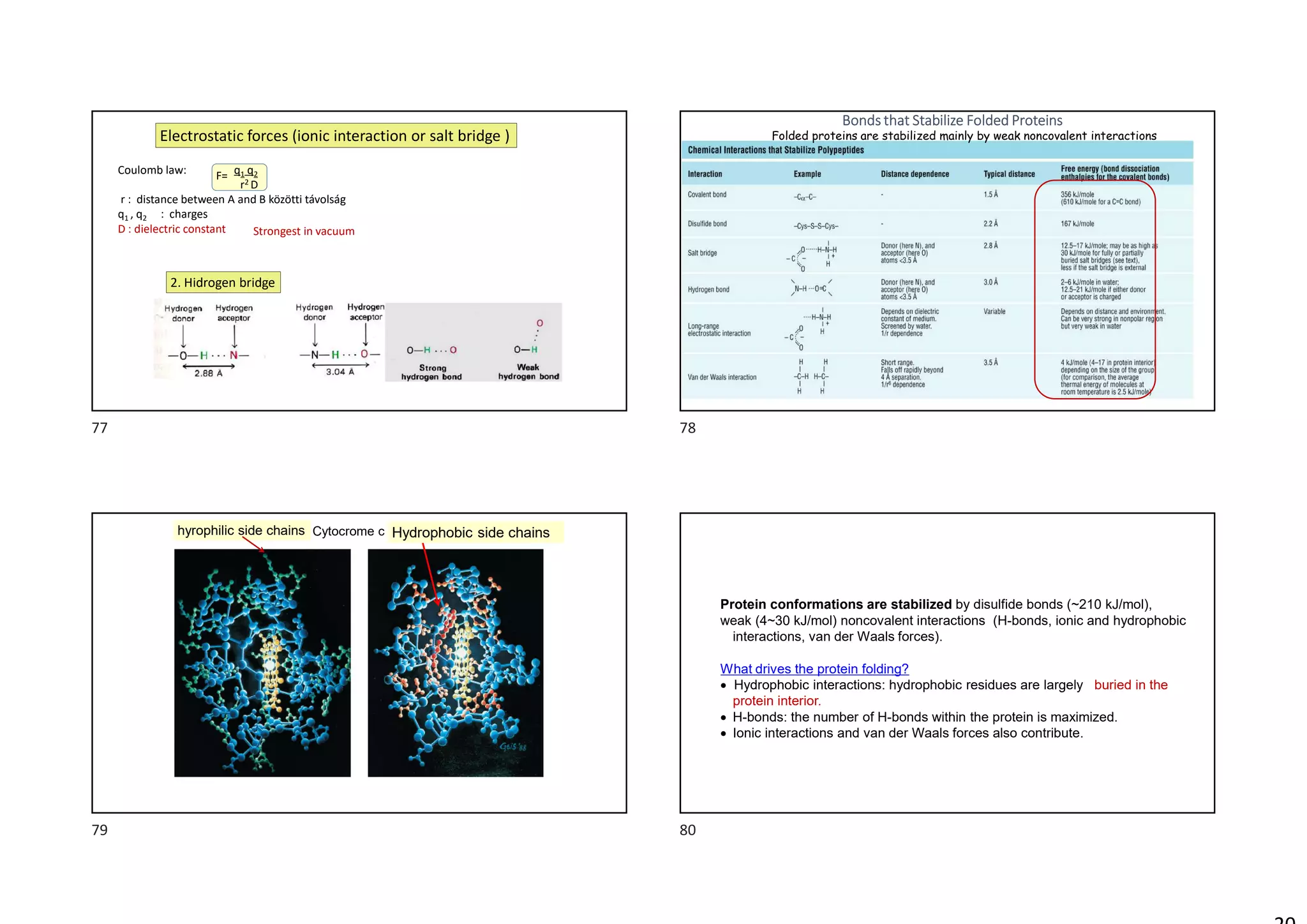 Protein_structure_2022.pdf