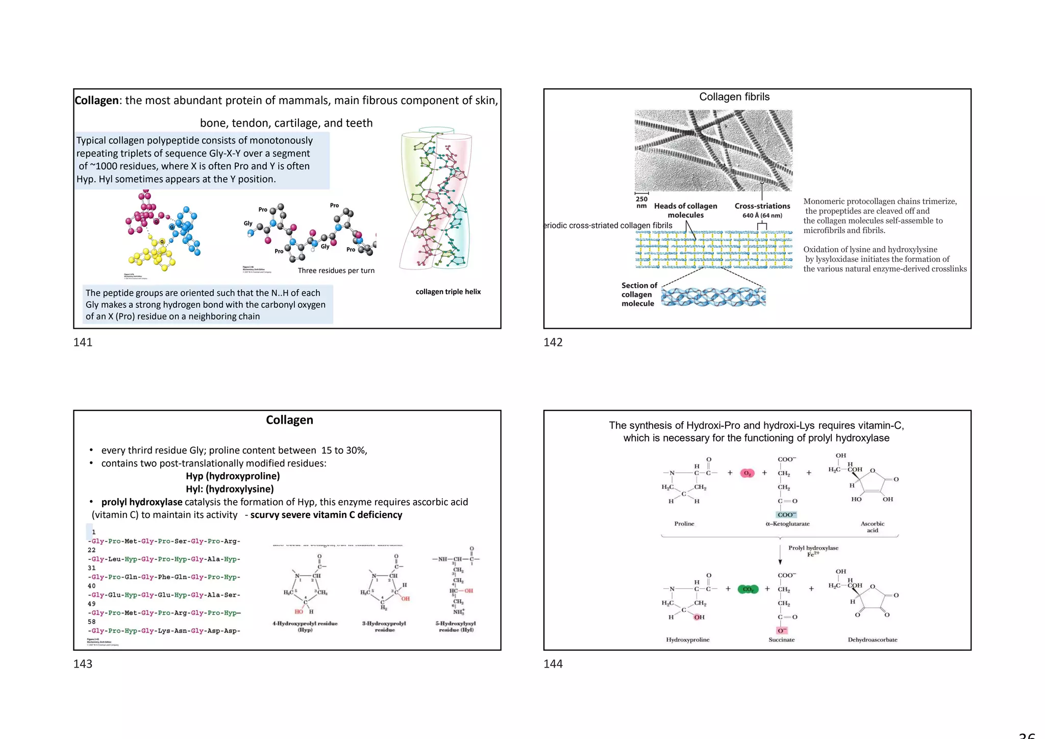 Protein_structure_2022.pdf