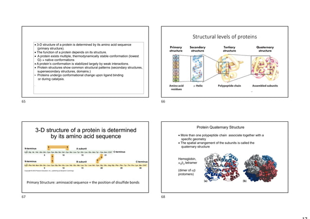 Protein_structure_2022.pdf