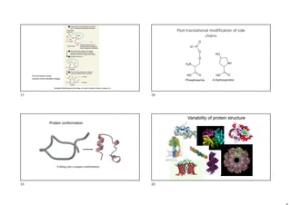 Protein_structure_2022.pdf