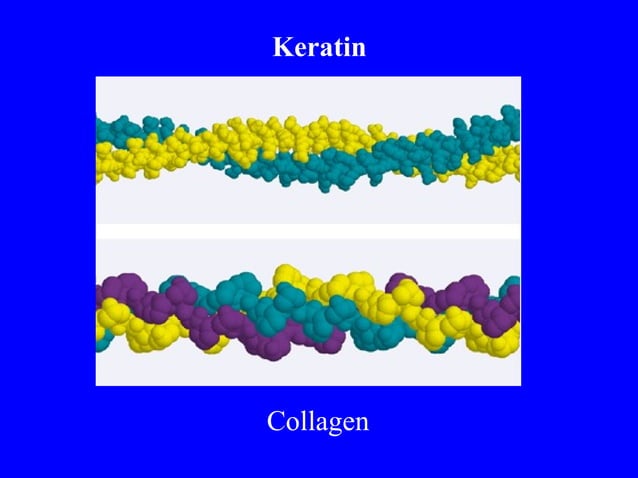 Protein structure 3d | PPT