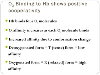 Protein structure 3 d | PPT