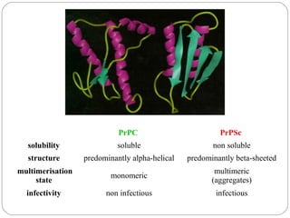 Protein structure 3 d | PPT