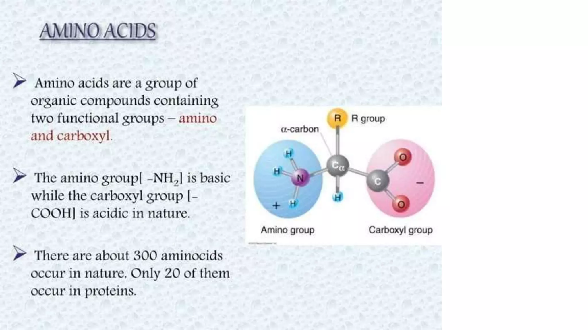 Protein Structure Amino Acidspptx